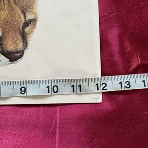 Art | Vintage Mcm Signed Serval Big Cat Print 12x16 Cabin Decor Art ...